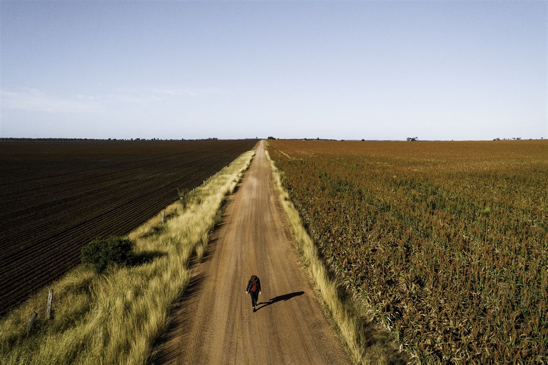 Agriculture Western Downs Regional Council