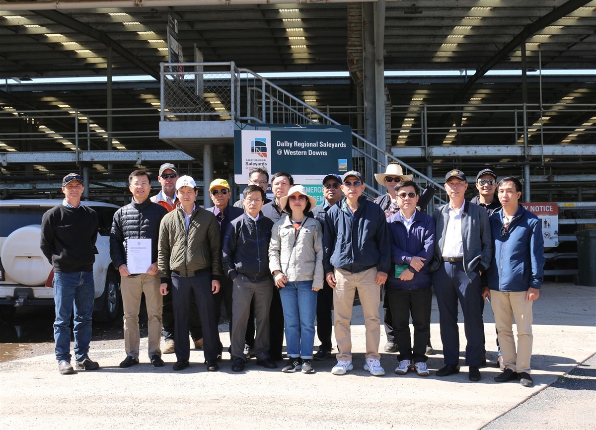 Dalby Regional Saleyards sets standard for international delegation ...