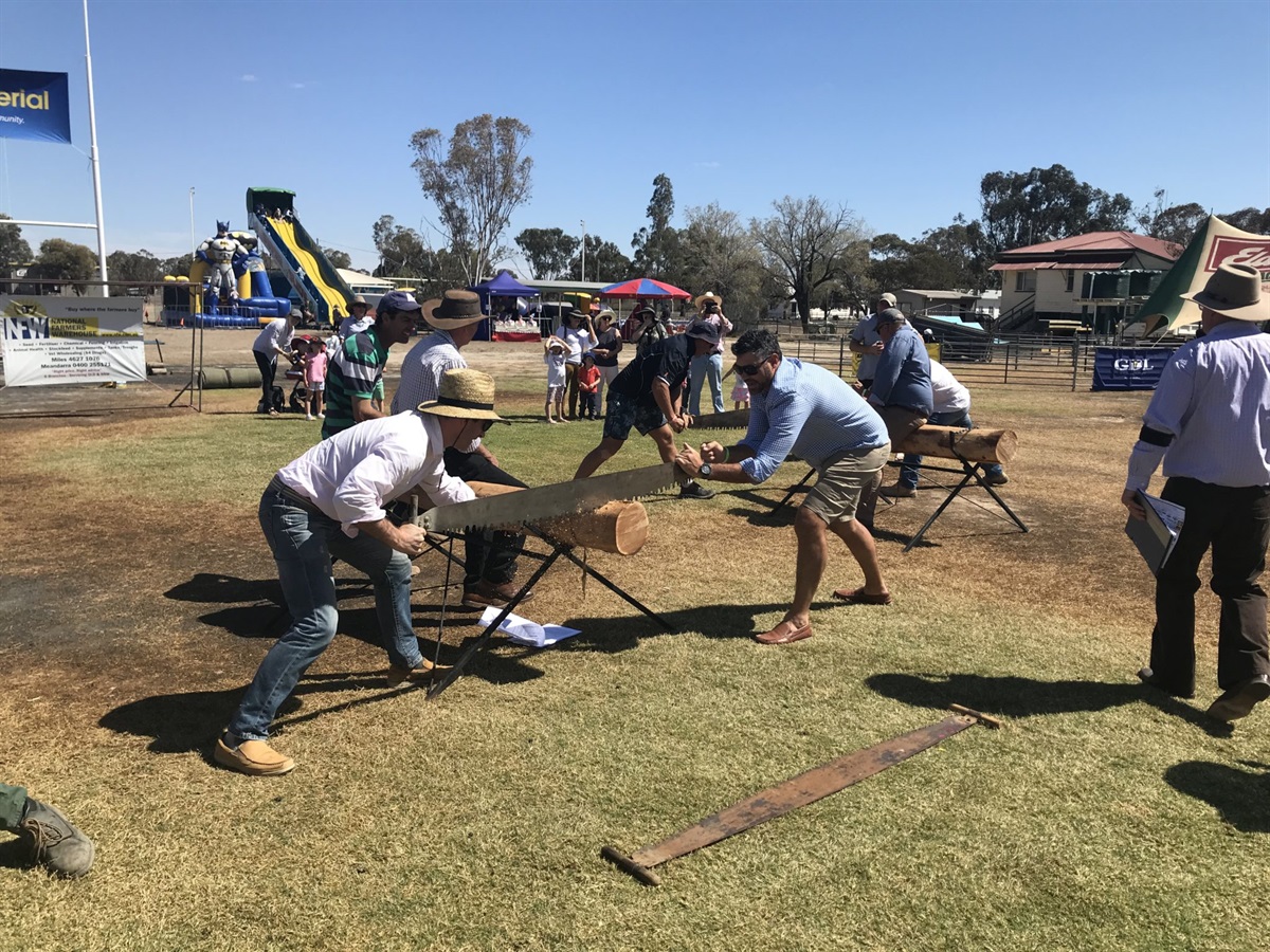 Council grants to back new community initiatives Western Downs Regional ...